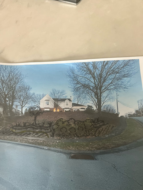 NEEP HELP FOR MY HILLSIDE!