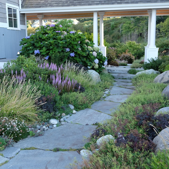 75 Beautiful Beach Style Garden Ideas & Designs - April 2024 | Houzz AU