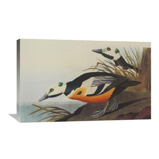 "Western Duck" Artwork, 22" x 13.9", 36" x 22.7" - Rustic - Prints And ...
