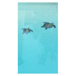 Turtle pool tiles - Portland - by Aloha Home Builders | Houzz