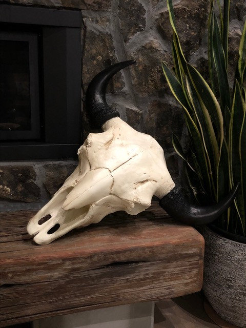 Bison European Mount - Southwestern - Decorative Objects And Figurines ...