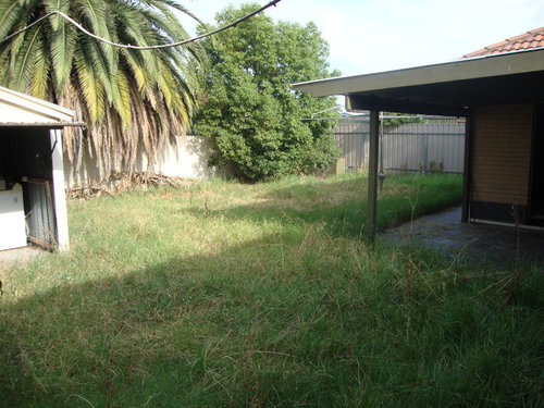 What to do with this terrible backyard