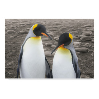 Wild Apple Portfolio 'Courting' Canvas Art, 16"x24" - Beach Style ...