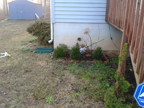 Boring Front Yard before and after!