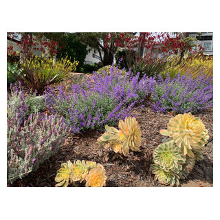 Colorful Drought Tolerant Slope Landscape - Beach Style - Landscape ...