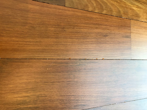 Flooring Bubbles