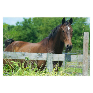 Arthur Rutenberg Homes Breaks Ground on The Bermuda Model 1314B in Vero ...