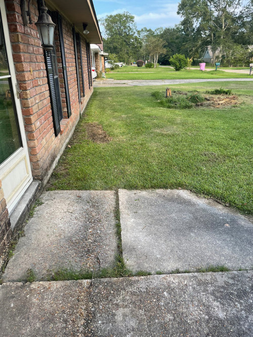 Fixing Negative Grade: Re-grade or French Drain/ Gutters?