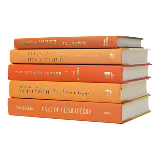 Modern Canyon Book Stack, 5-Piece Set - Traditional - Books - by Booth ...