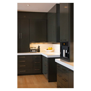 Modern Kitchen Remodel - Toronto - by Timberwood Custom Kitchens | Houzz