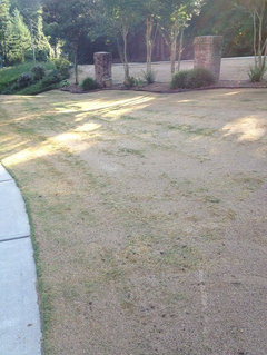 Lawn Leveling with Sand: My Experience with Pictures!