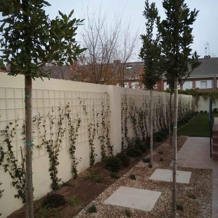 75 Driveway with a Pergola Ideas You'll Love - February, 2023 | Houzz