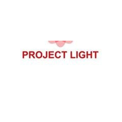 PROJECT LIGHT INC - Project Photos & Reviews - Stow, OH US | Houzz