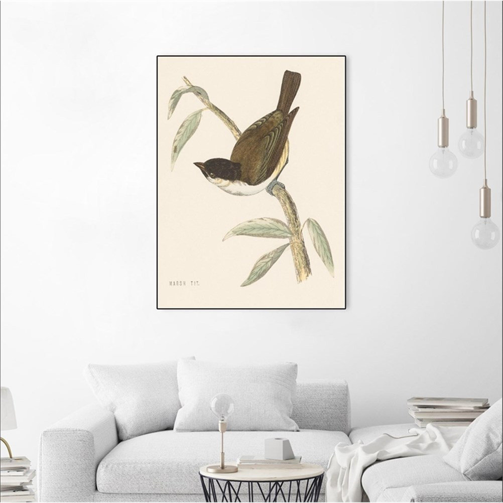Giant Art Canvas 30x40 Engraved Birds II Framed in Multi-Color ...