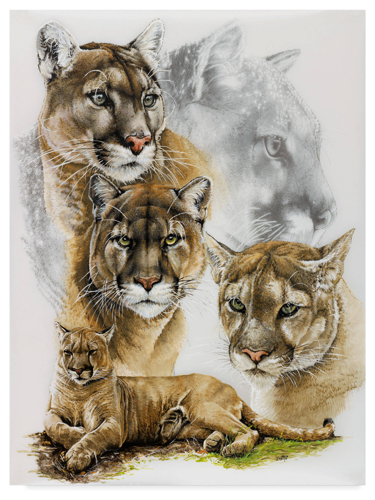 "Fierce" by Barbara Keith, Canvas Art, 24"x18" - Contemporary - Prints ...