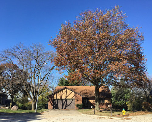 How do I modernize/improve the curb appeal of my 80s ranch home