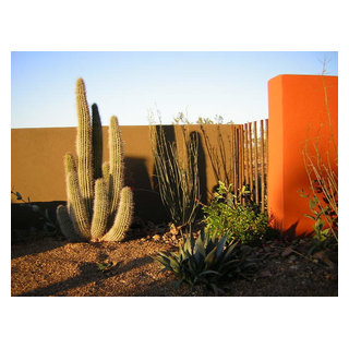 The 35 House - American Southwest - Garden - Phoenix - by The Design ...