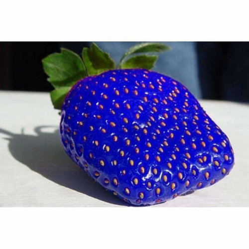 A short guide to recognizing digitally altered images.