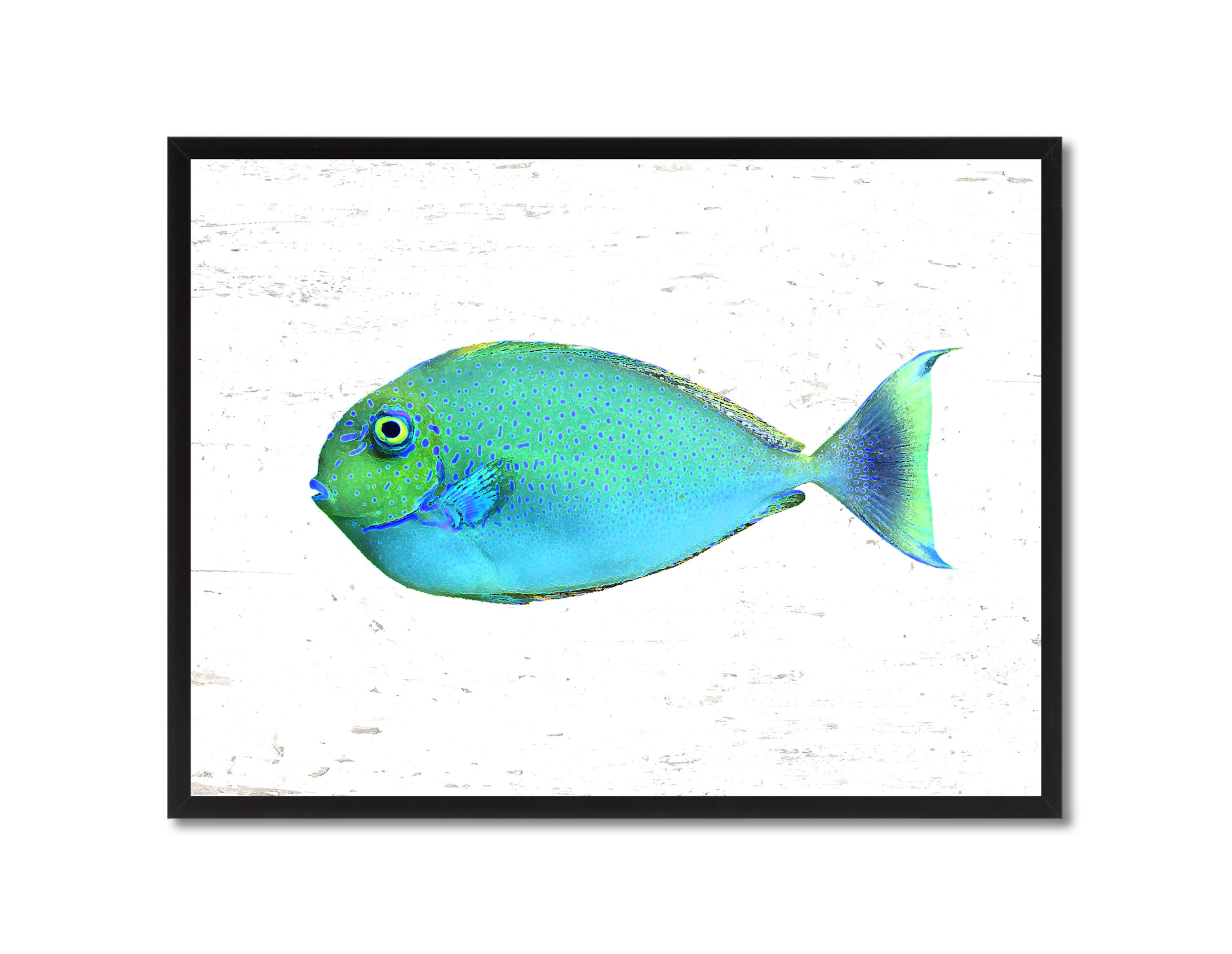 Aqua Tropical Fish Painting, 7"x9", 28"x37" - Beach Style - Prints And ...