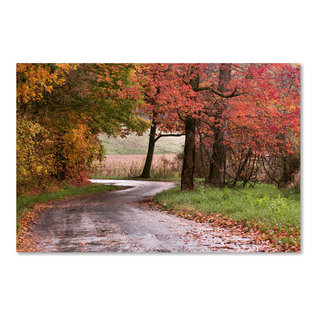 Jason Shaffer 'Forgotten Vermilion' Canvas Art, 47"x30" - Contemporary ...