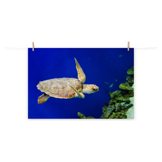 Sea Turtle 1 Underwater Wildlife Photography Unframed Wall Art Print ...