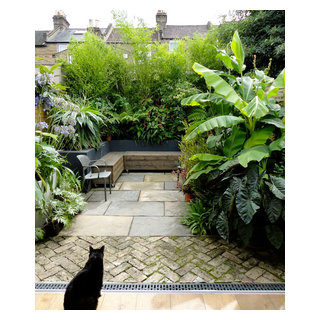 Urban tropical - Tropical - Patio - London - by antonia schofield ...