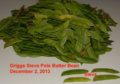 Sieva/Carolina Lima/ButterBean