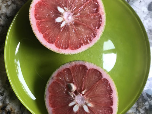 My first Ray Ruby grapefruit!