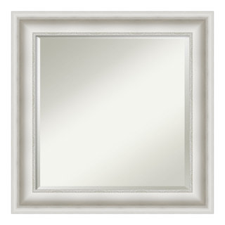 Parlor Framed Wall Mirror, 25.5 in. x 25.5 - Traditional - Wall Mirrors ...