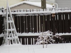 Need curb appeal for backwards house!