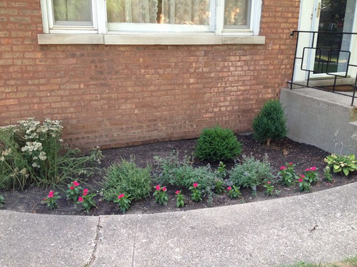 Help with Modest Cape Cod Curb Appeal