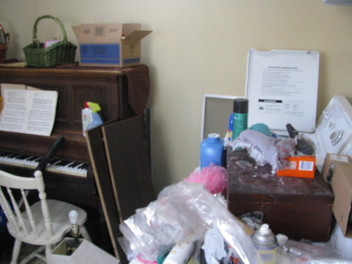 don't know what to do with this room: laundry ,dryer,piano, garden ...