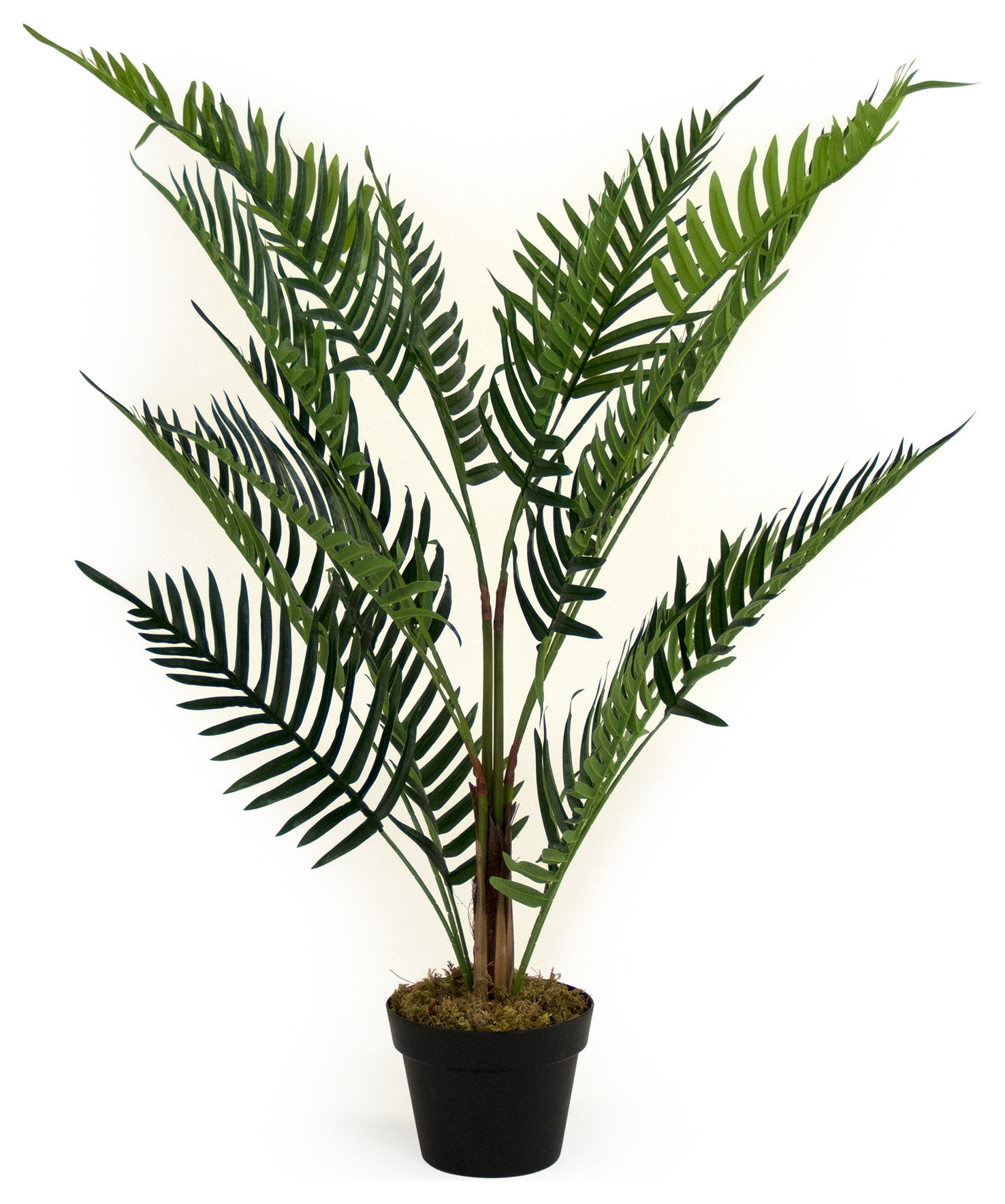 Faux Long Stemmed Green Leafed Fern, Pot - Artificial Plants And Trees ...