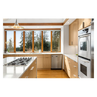 Parrett Mountain Contemporary Kitchen - Contemporary - Kitchen ...