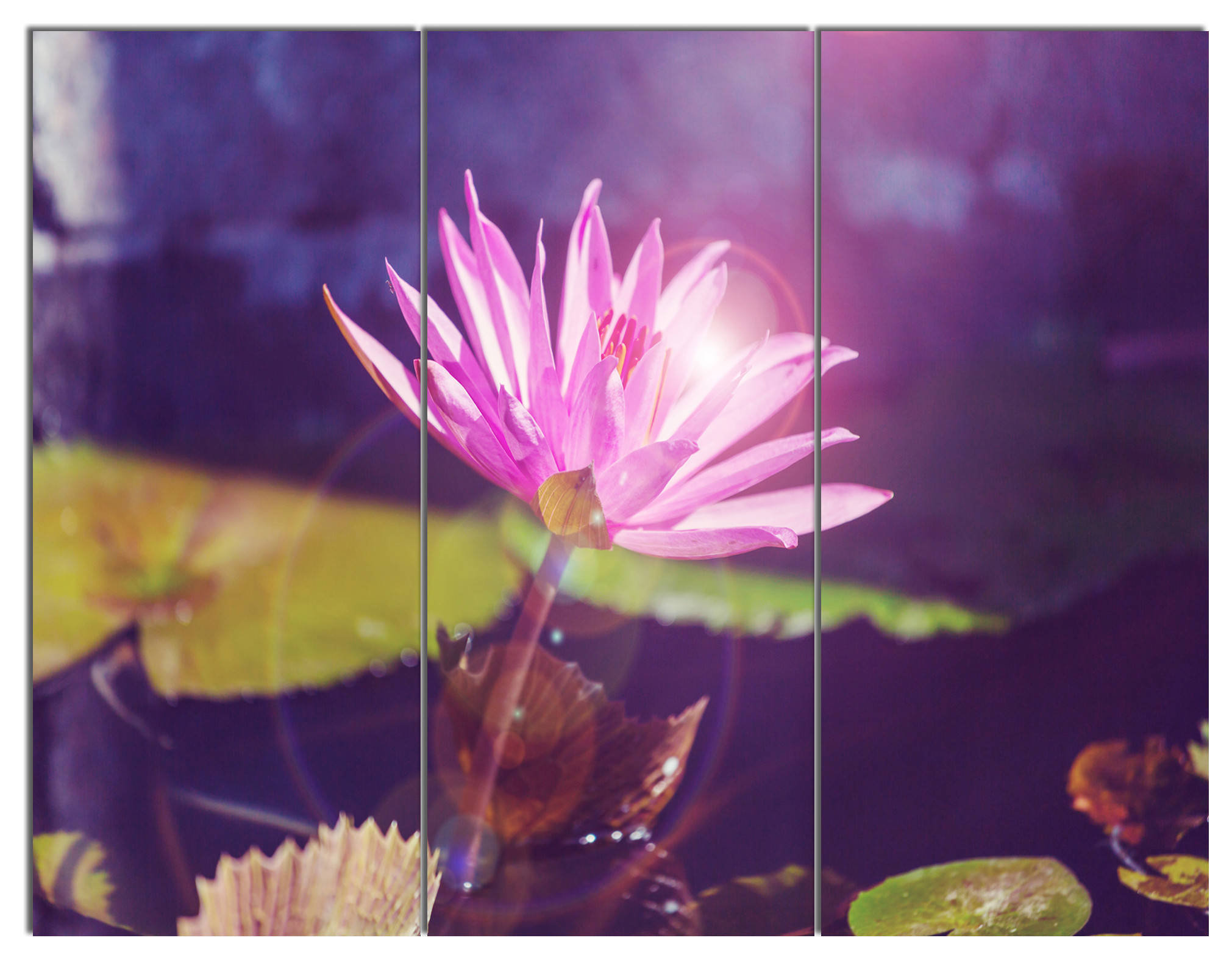 Pink Lotus Flower on Blue Background, Floral Canvas Art Print, 36x28, 3 ...