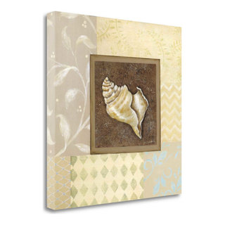 20" Conch Shell With Multi-Pattern Background Giclee Wrap Canvas Wall ...