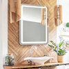 Aria Lighted Mirror, Forward-Phase Dimming Technology, LED, Clear ...