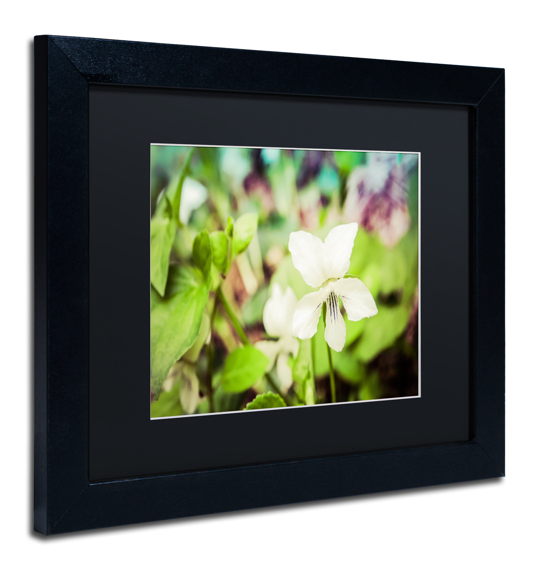 PIPA Fine Art 'Tranquil China Violet' Matted Framed Art, 14x11 ...