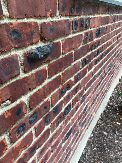 What are the black marks on my brick house exterior?