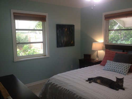 Small master bedroom: window coverings