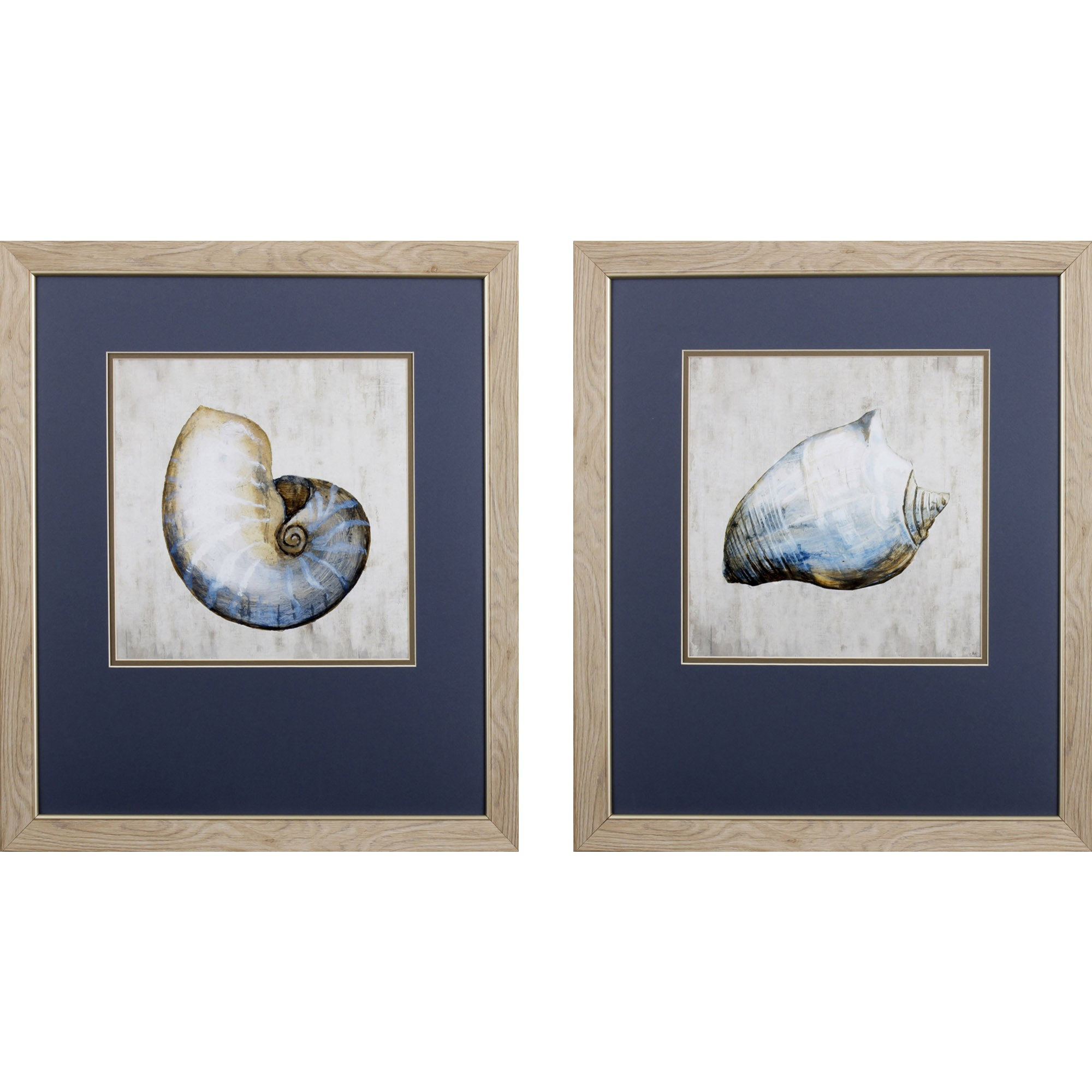 Set of Two Ocean Seashells Wall Art - Beach Style - Prints And Posters ...