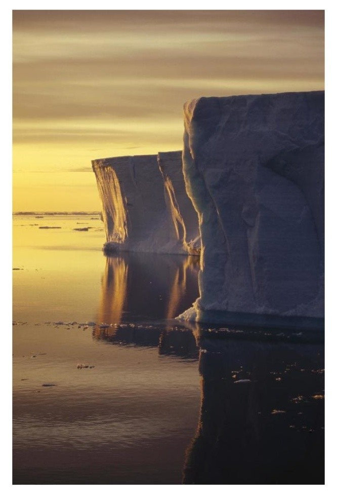 Sunrise Over Tabular Icebergs, Antarctica Peninsula, Antarctica-Paper ...