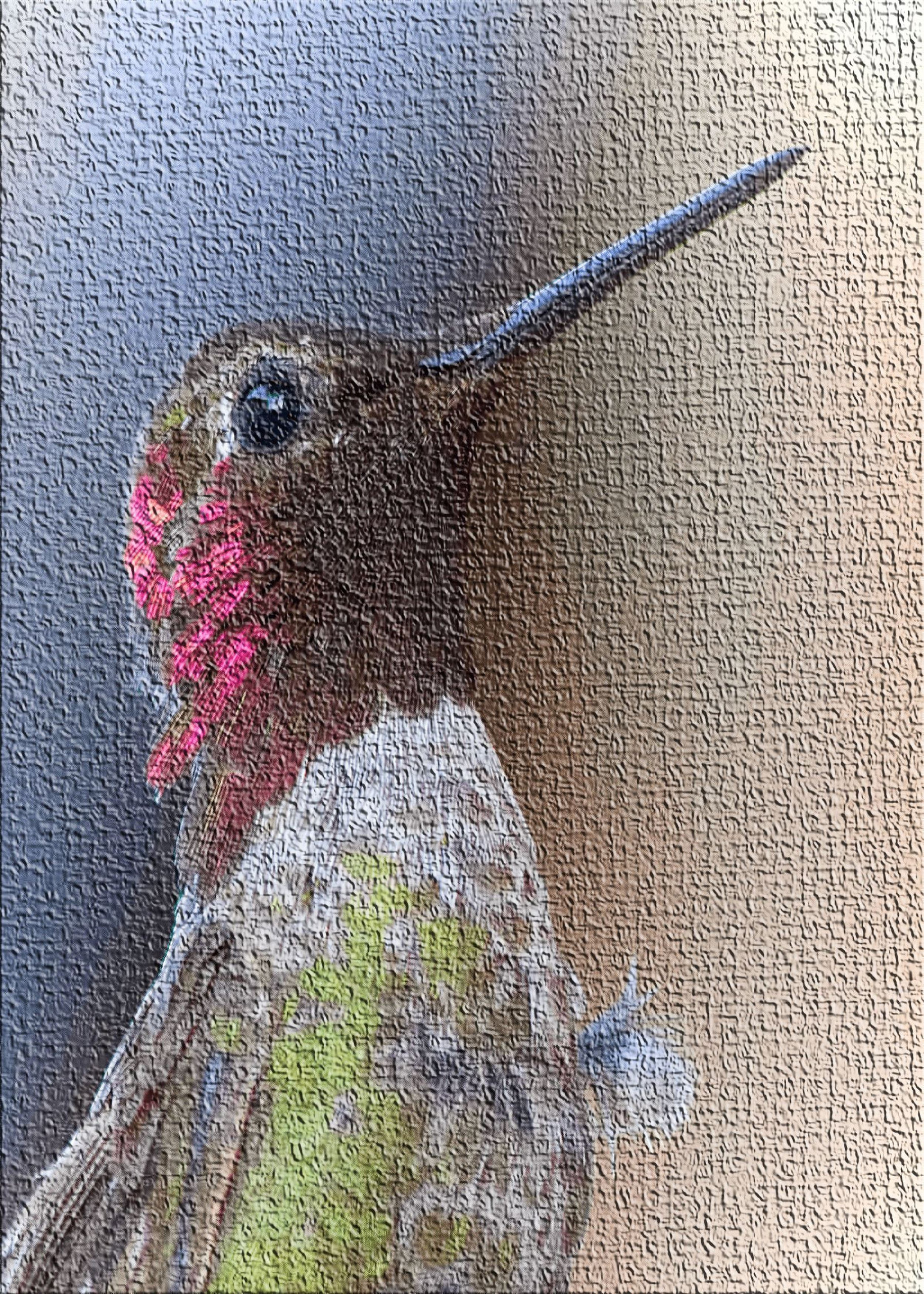 Sharp Colors 406 Area Rug, 5'0"x7'0" - Tropical - Novelty Rugs - by ...