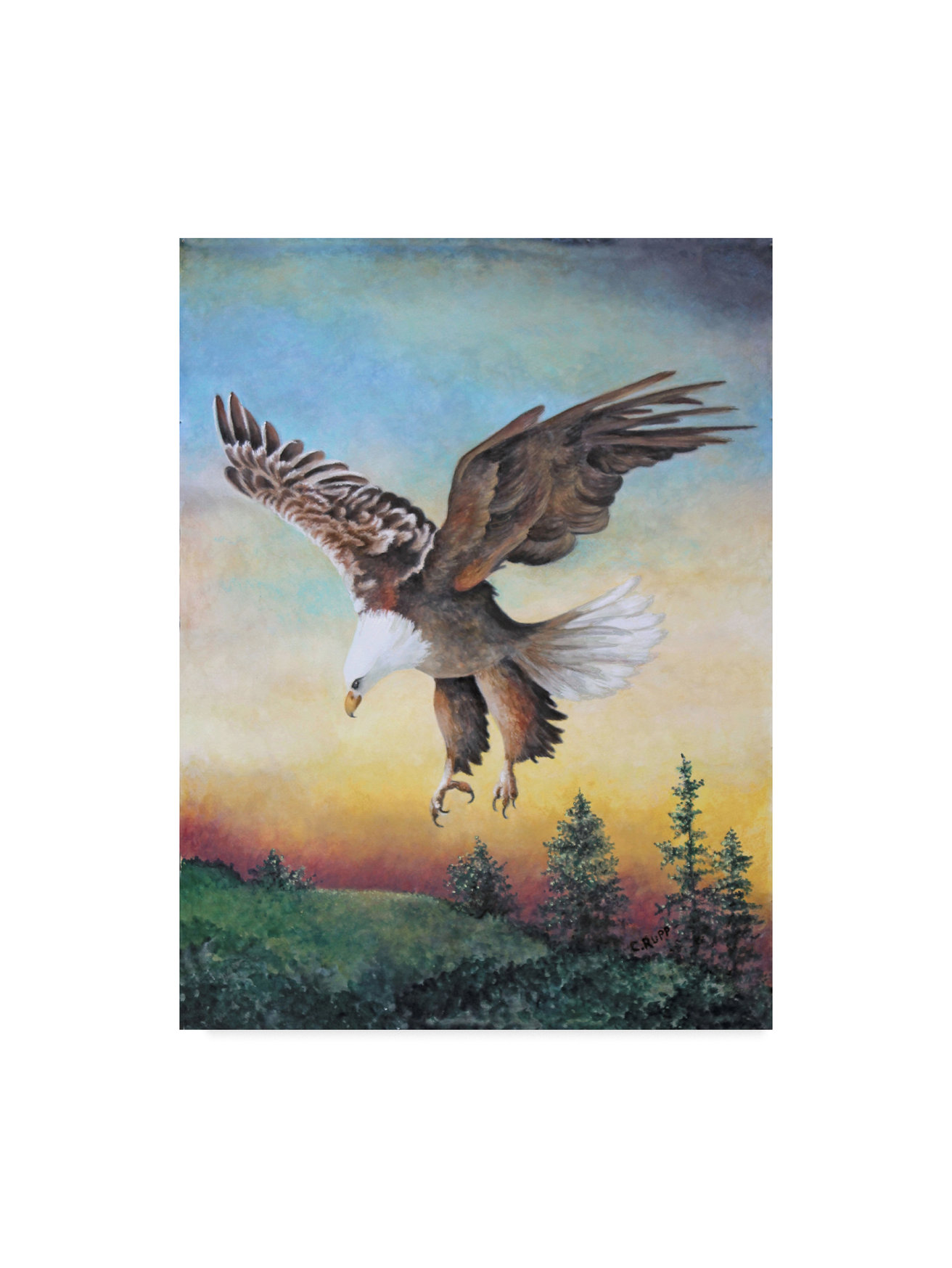 Carol J Rupp 'Dawn Flight ' Canvas Art, 14"x19", 14"x19" - Contemporary ...