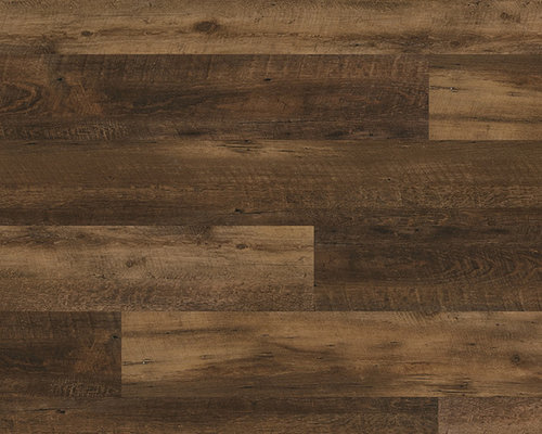 Which of these photos truly represents Coretec Plus XL Montrose Oak?