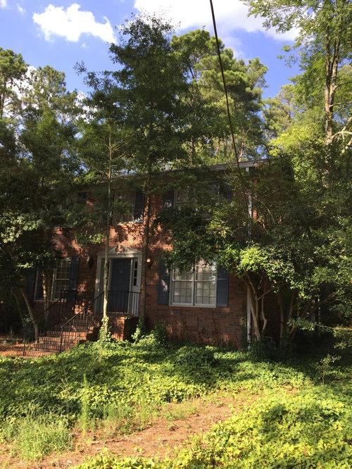 Landscape Help for Overgrown Front Yard