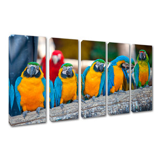 Colorful Scarlet Macaws, Parrots Canvas Print, 5 Panel Split Wall Art ...