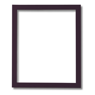 Bold Legacy .75" Frame, 10"x20" - Contemporary - Picture Frames - by ...