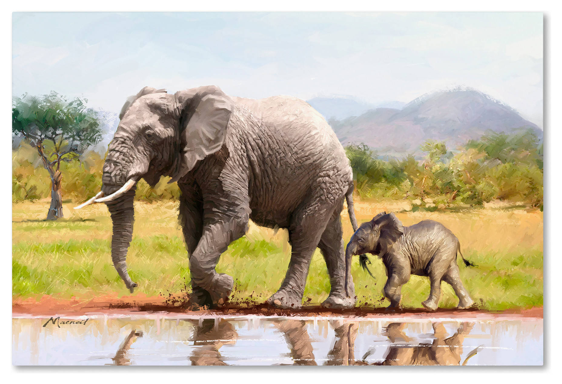 The Macneil Studio 'Elephant' Canvas Art, 24"x16" - Tropical - Prints ...