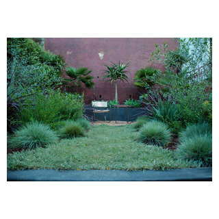 Russian Hill, San Francisco - Mediterranean - Landscape - San Francisco ...
